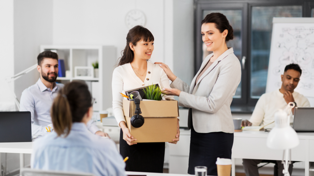 How You Can Find A Great Job Placement In December!